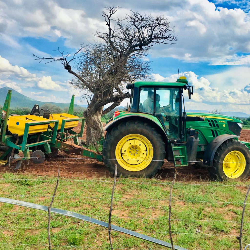 Monepenepeng – Farming & Projects